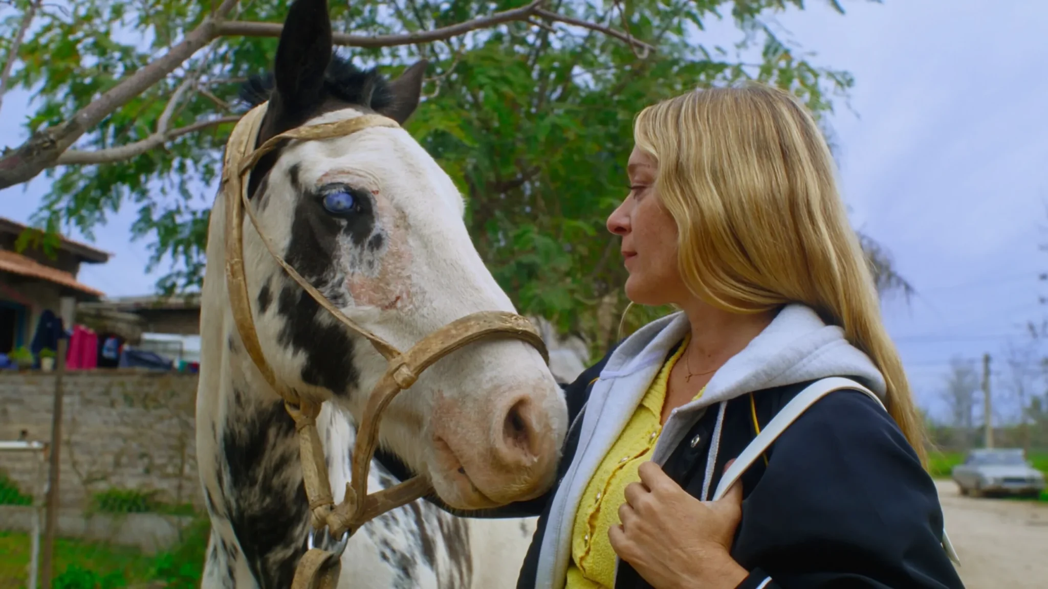 Crítica de 'Magic Farm', sátira de Amalia Ulman con Chloë Sevigny (en ...